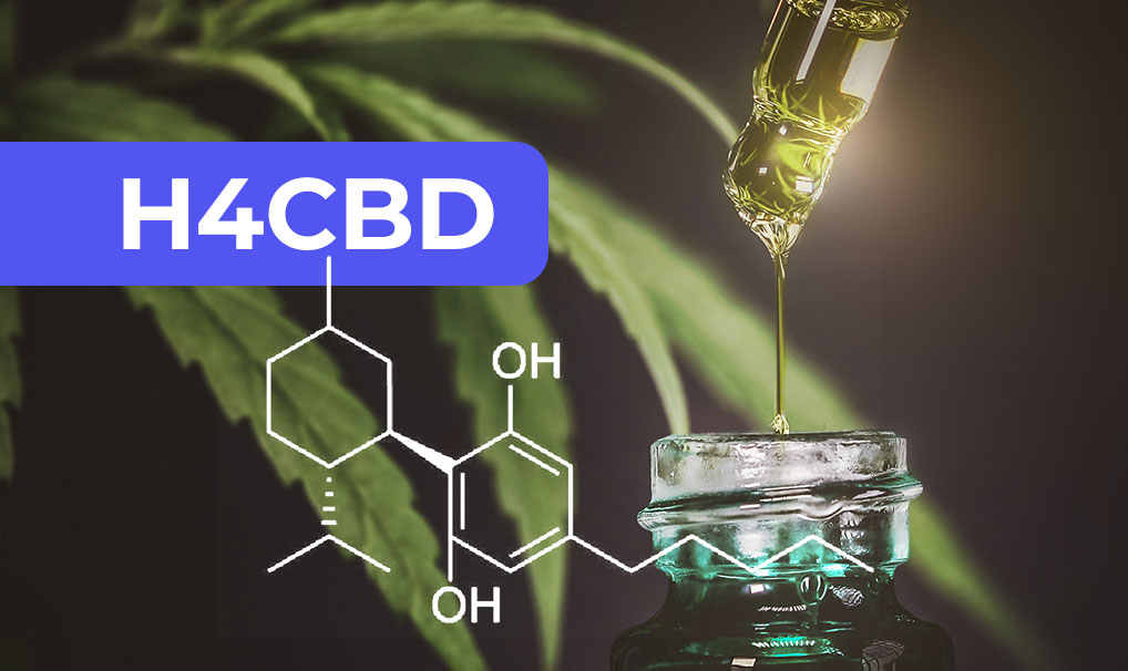 Unveiling H4-CBD: Your Comprehensive Guide - ECS Brands Unveiling H4-CBD: Your Comprehensive Guide - ECS Brands